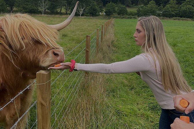 Loch Ness and Outlander Sites Tour from Inverness - Who Would Love This Tour?