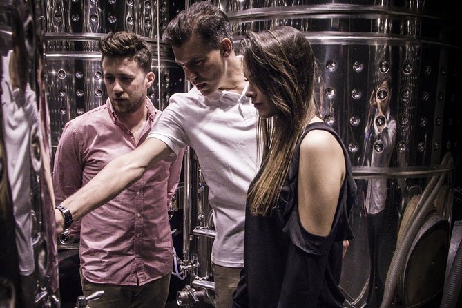 Penedes Wine & Cava Tasting & 4WD Vineyards Tour from Barcelona - The Sum Up