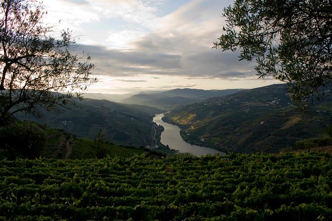 Porto: Douro Valley Wine Tour Including Lunch - Lunch in the Heart of the Douro