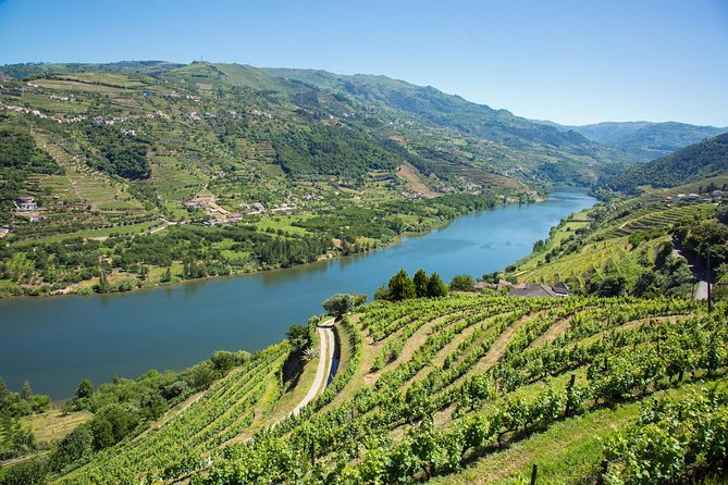 Premium Douro Valley Small-Group Tour, Wine Tasting, Lunch & Boat - Scenic Boat Ride on the Douro River