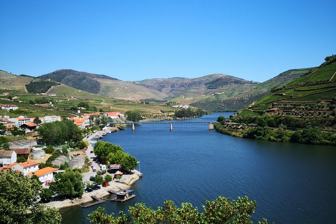 Premium Private Douro Tour: 3 Wineries with Tastings & Lunch - Final Thoughts: Is This Tour for You?