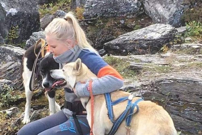 Privat sled trip with husky in the alta valley - Considerations Before Booking