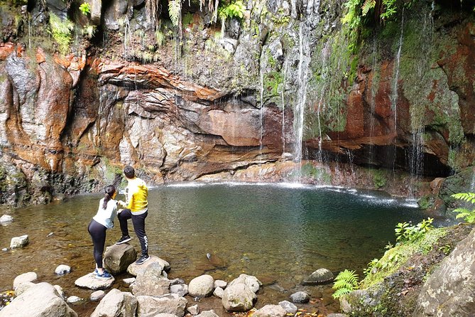 Rabaçal - 25 Fonts - Price and Value