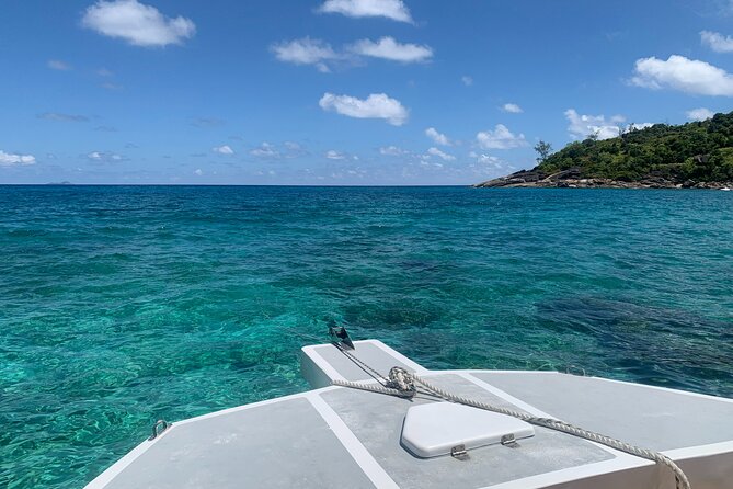 Reef Safari - Snorkeling, Fish Feeding & Lunch (Shared Day Trip) - Duration & Timing