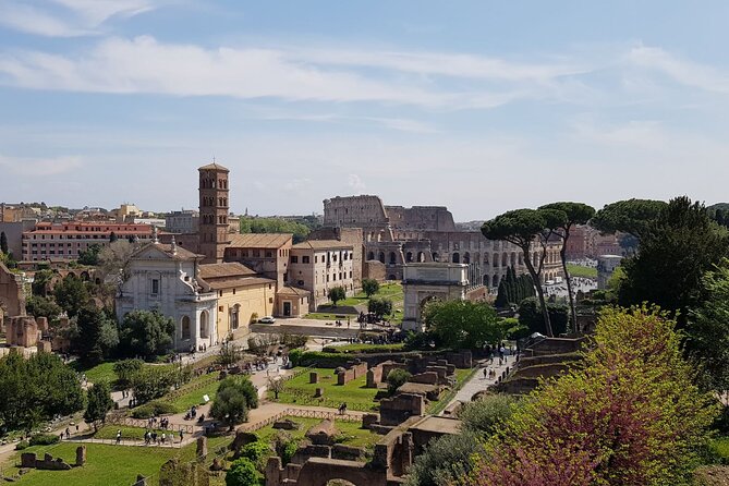 Rome Colosseum,Palatine Hill and Roman Forum Guided Tour - The Real Experience: What Travelers Say