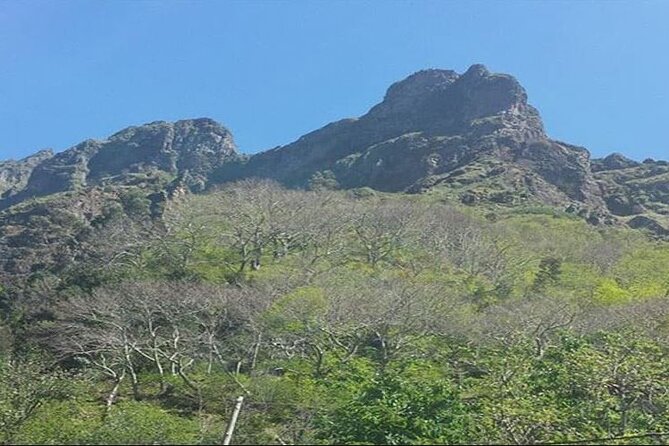 Scenic Route - Nuns Valley Tour - The Experience from the Reviews