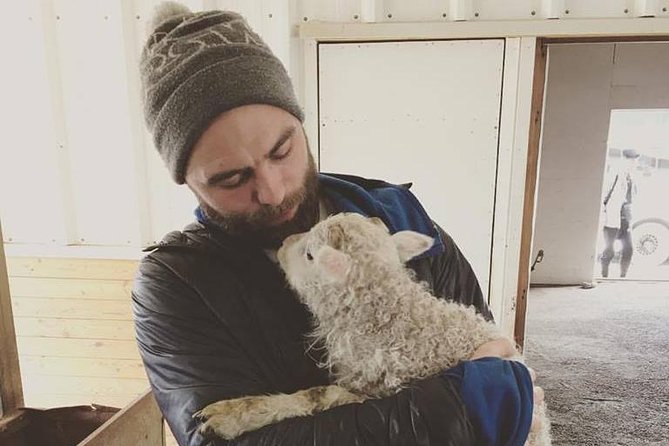 Small-group Golden Circle Classic Tour from Reykjavik - Transport and Comfort