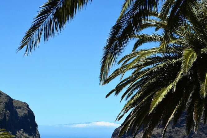 Tenerife Tour Mt. Teide and the Towns of Icod, Garachico, Masca - What Travelers Are Saying