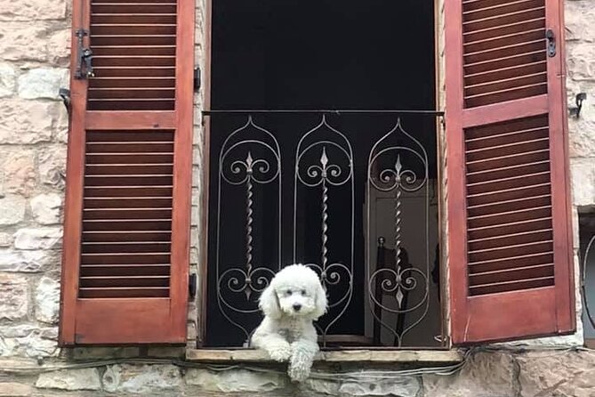 Vatican, Sistine Chapel Guided Tour & Access to St Peter Basilica - Final Thoughts