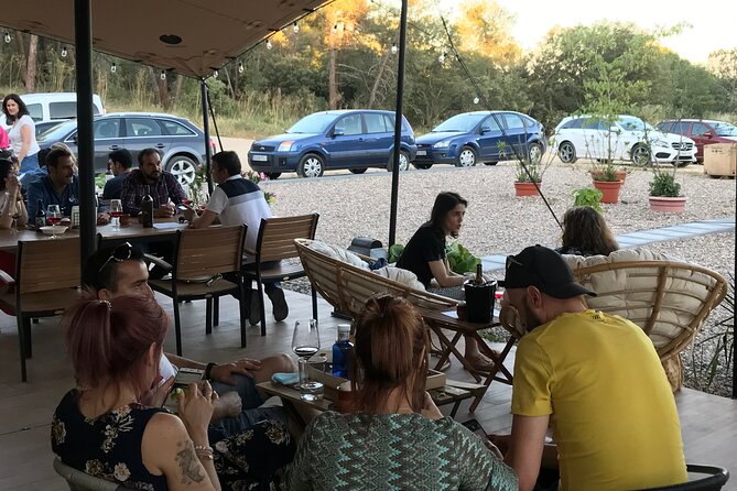 Visit and Wine Tasting at the Territorio Luthier Winery - Additional Details: Practical Information & Value