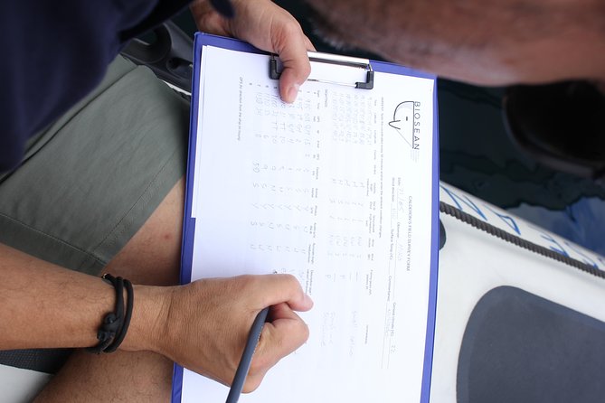 Whale Watching and Marine Science Tour - The Perfect Fit: Who Should Consider This Tour?