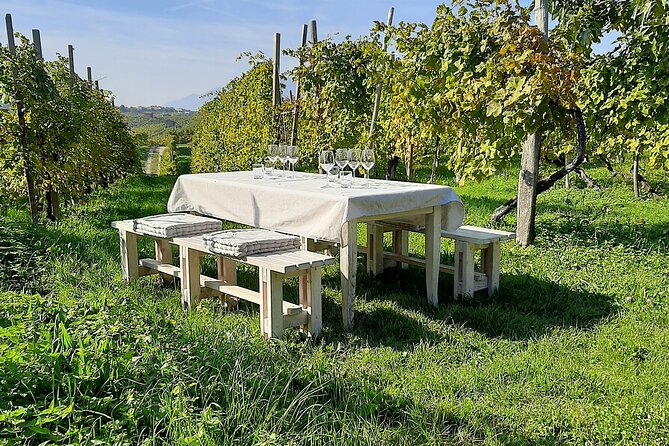 2 Guests Private Prosecco Road Tour All Inclusive from Conegliano - FAQ: Your Practical Questions Answered