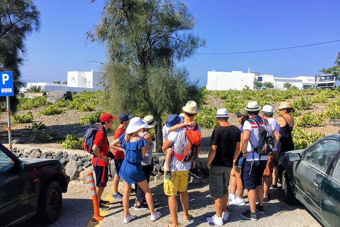 6-Hour Private Best of Santorini Experience - FAQ