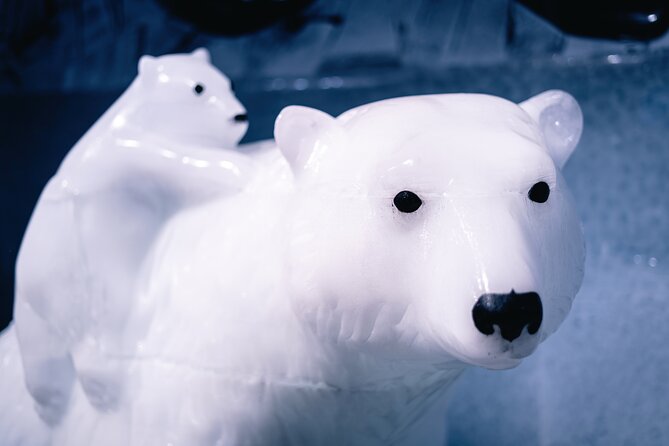 Berlin Icebar Experience Including 3 drinks - FAQ About the Berlin Icebar Experience