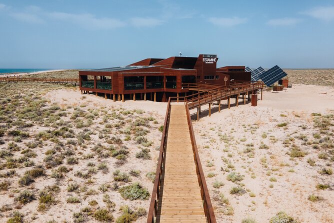 Boat trip from Faro to Ilha Deserta by Ferry - Practical Details You Should Know