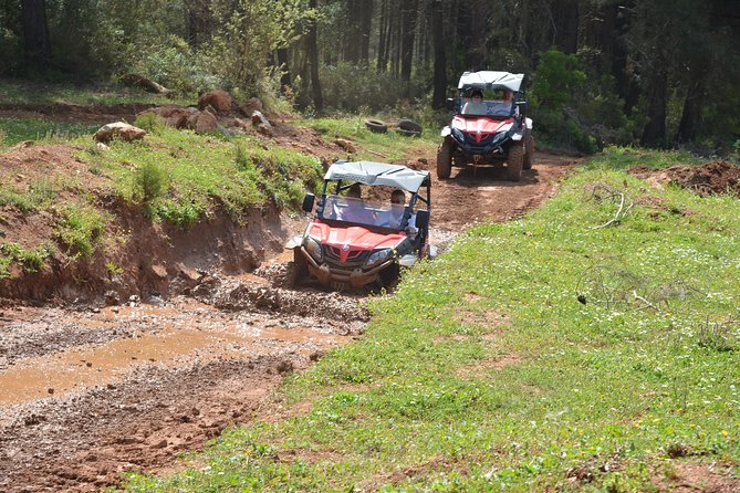 Buggy Safari for 2 people - Why Travelers Love This Tour