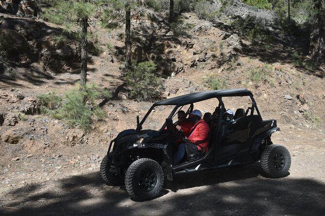 Buggy tour to Teide in Tenerife - The Sum Up