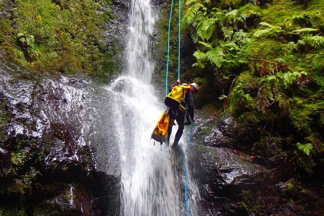 Canyoning Madeira Island - Level Two - Price and Value: Does It Make Sense?