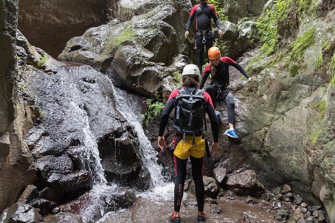 Canyoning with Waterfalls in the Rainforest - Small Groups - Who Will Love This Tour?