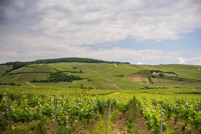 Champagne experience with a vintage van from Epernay - 3 hours - The Vintage Van: An Experience in Itself