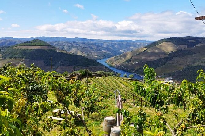 Douro Valley Small-Group Tour: 2 Wineries, Lunch, Optional Cruise - Navigating the Logistics — What to Expect