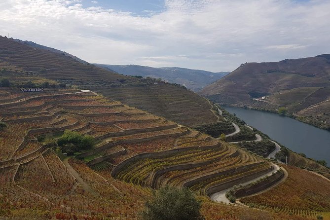 Douro Valley Tour from Peso da Regua - Final Thoughts