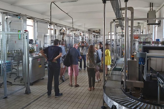 Etna Wineries Tour - Small Groups from Taormina - Value for Money and Practical Tips