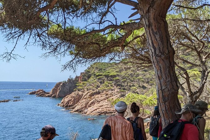 Explore Costa Brava & Tossa de Mar Coastal Trails, Snorkel & Meal - FAQs