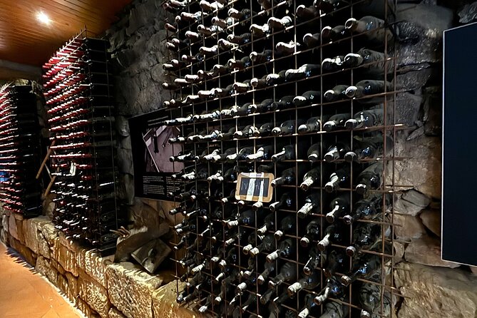 From Porto: Douro Valley Tour with 2 Wineries, Lunch and Cruise - The Douro River Cruise: Relaxing and Sightful