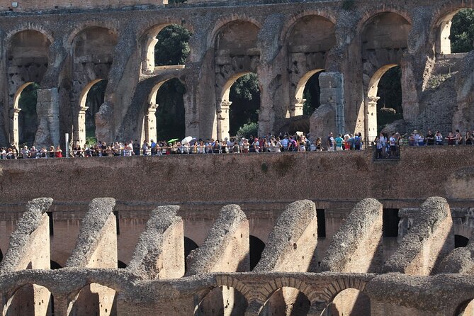 Guided Tour of the Colosseum, Forum and Palatine Hill - What Travelers Say