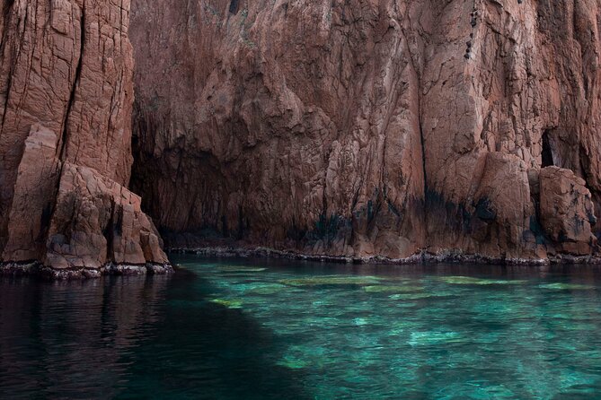 half-day excursion / snorkeling calanques de piana-capo rosso - The Experience: What Youll Actually Do