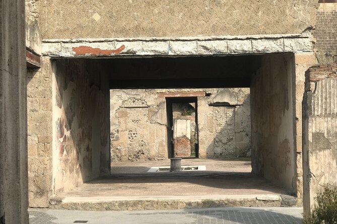 Herculaneum Private Tour with an Archaeologist - Who Should Consider This Tour?