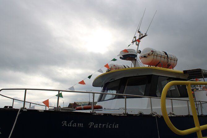 Howth Cliff Cruises - Potential Drawbacks and Considerations