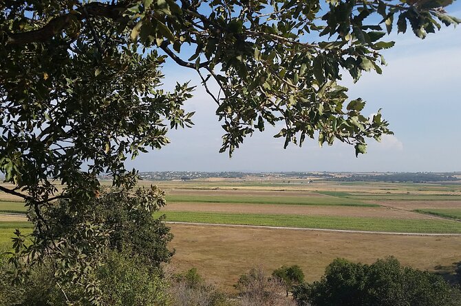 Istanbul to Truva Troy Guided Day Tour with Lunch and Transfers - Practical Tips