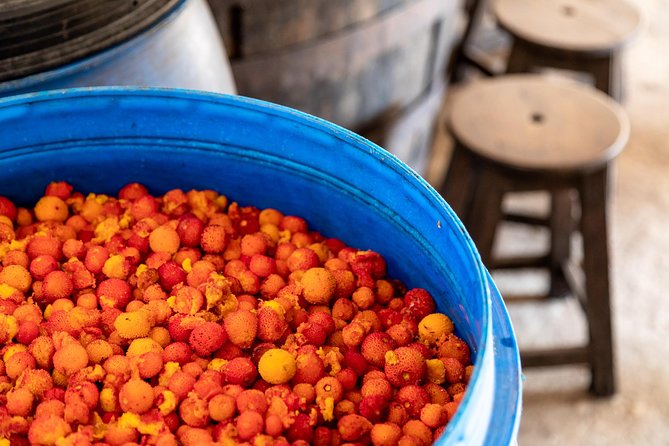 Jeep Safari #1 in Algarve - The Sum Up: Is This Tour Right for You?