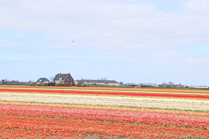 Keukenhof Gardens and Delft Guided Tour from Amsterdam - Frequently Asked Questions