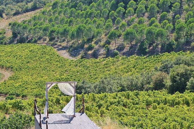 Lisbon Southern Region (Fernão Pó) Wine Tasting Private Tour - FAQs about the Lisbon Southern Region (Fernão Pó) Wine Tasting Private Tour