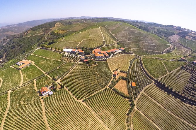 Premium Private Douro Tour: 3 Wineries with Tastings & Lunch - FAQs
