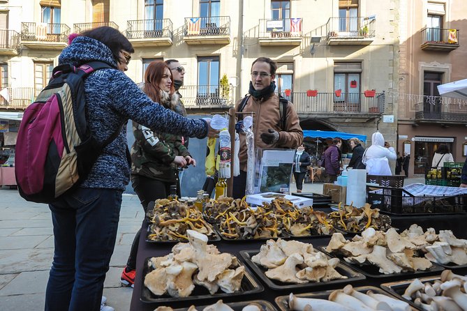 Pyrenees & Medieval Towns Small Group Tour from Barcelona - FAQs