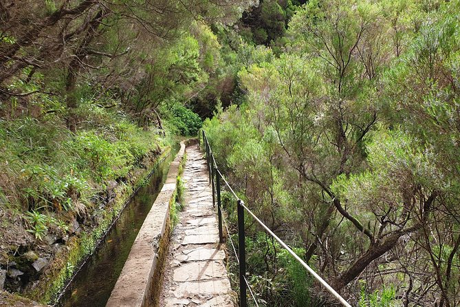 Rabaçal - 25 Fonts - Practical Tips for Participants