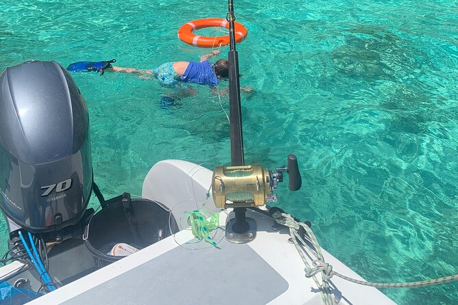 Reef Safari - Snorkeling, Fish Feeding & Lunch (Shared Day Trip) - Price and Value