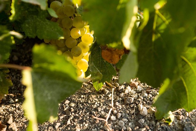 Santorini Wine Tour: Taste 12 best wines & 3 beers with pairings - Frequently Asked Questions