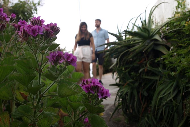 Sintra/Pena, Regaleira & Monserrate - Authentic Experiences and Local Insights