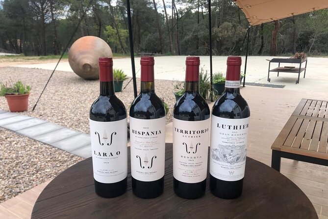 Visit and Wine Tasting at the Territorio Luthier Winery - The Sum Up: The Value of a Real, Personal Wine Journey