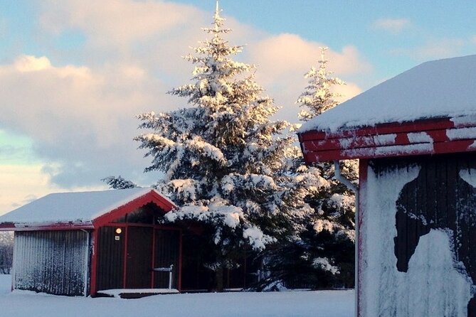 5-Days Land of Northern Lights Tour from Reykjavík - Frequently Asked Questions