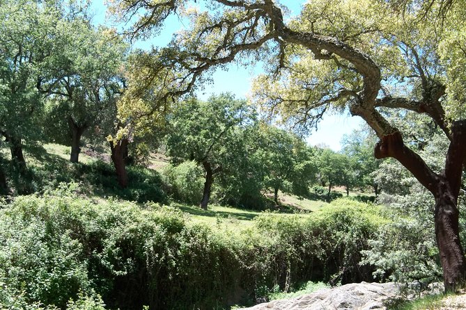 Aracena & Riotinto Mines Tour from Seville - Who Should Consider This Tour?