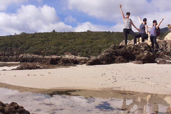 Arrábida Jeep Tour Europe's Most Beautiful Beach & Hidden Gems - What to Expect From a Typical Day