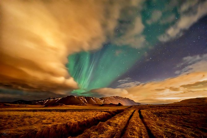 Aurora/Northern light hunt and photos (photography help provided) - The Sum Up