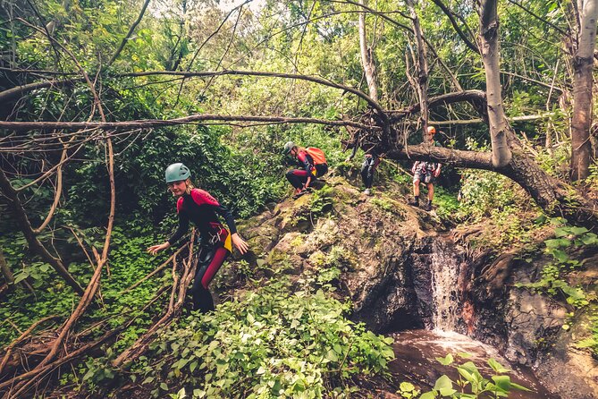 Canyoning with Waterfalls in the Rainforest - Small Groups - Summary: Is It Worth It?