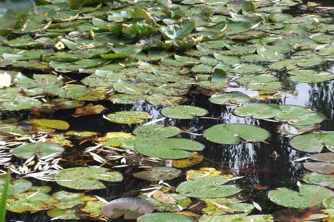 Giverny Monet's House Gardens Small-Group with Hotel* Pickup - The Sum Up